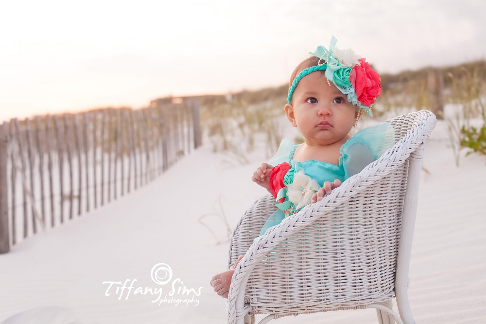 April & May photo session specials...Still time to book! - Destin ...